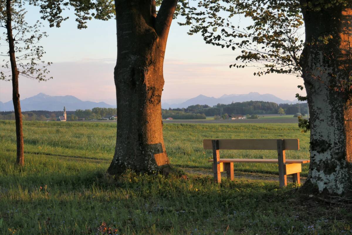 Gemeinde Palling - palling.de